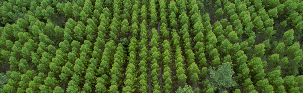 Horarios de atención en el INAB | Noticias Green