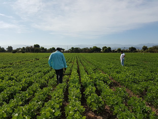 Foragro quiere hacer de Centroamérica un ejemplo de exportación y ...
