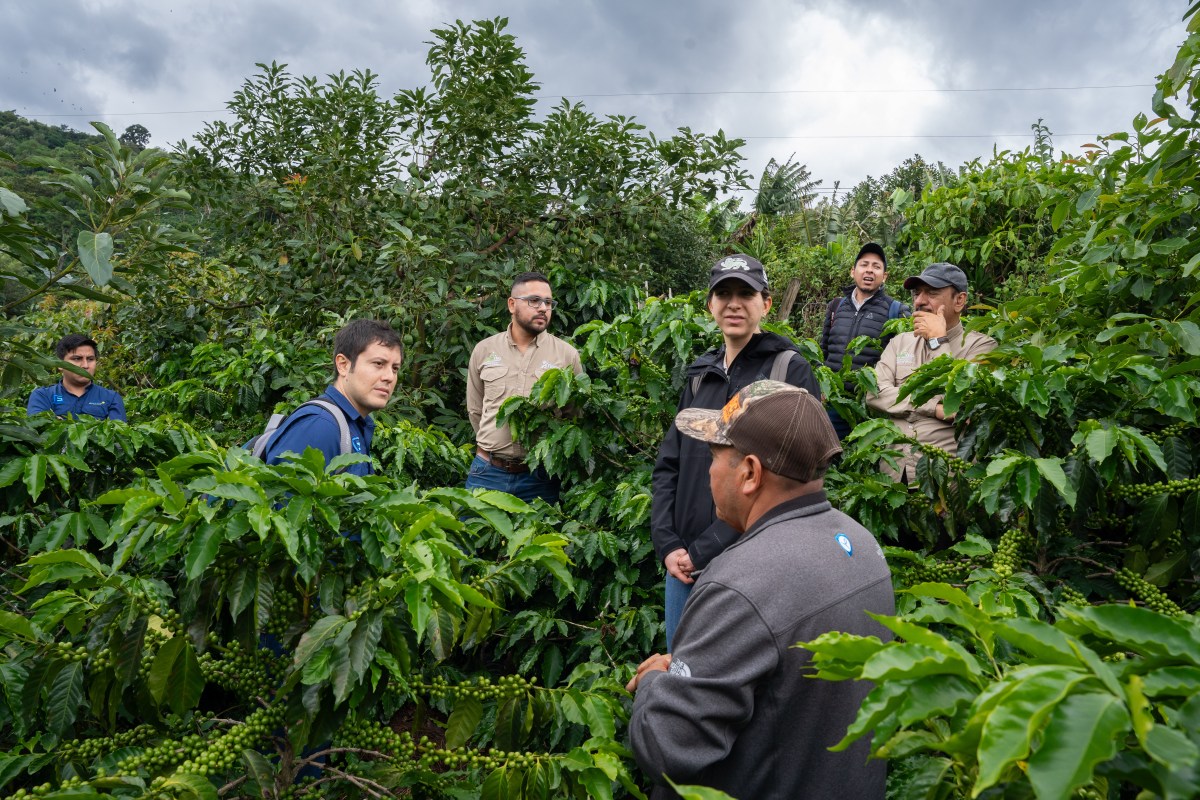 FUNDEA impulsa inversiones para agricultura resiliente al cambio ...