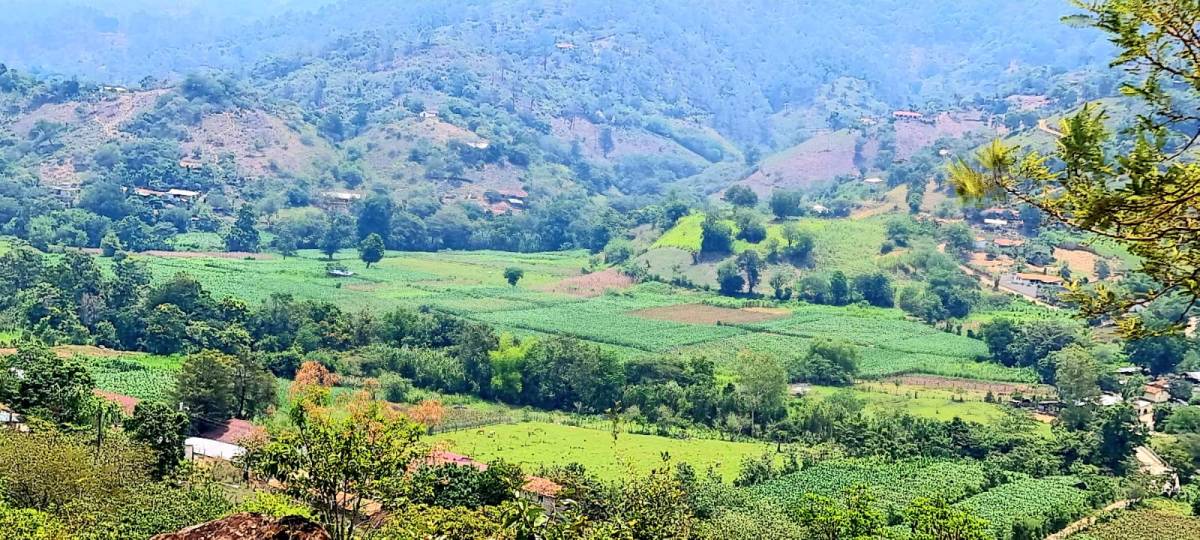 Instituciones brindan resultados del proyecto adaptación al cambio ...