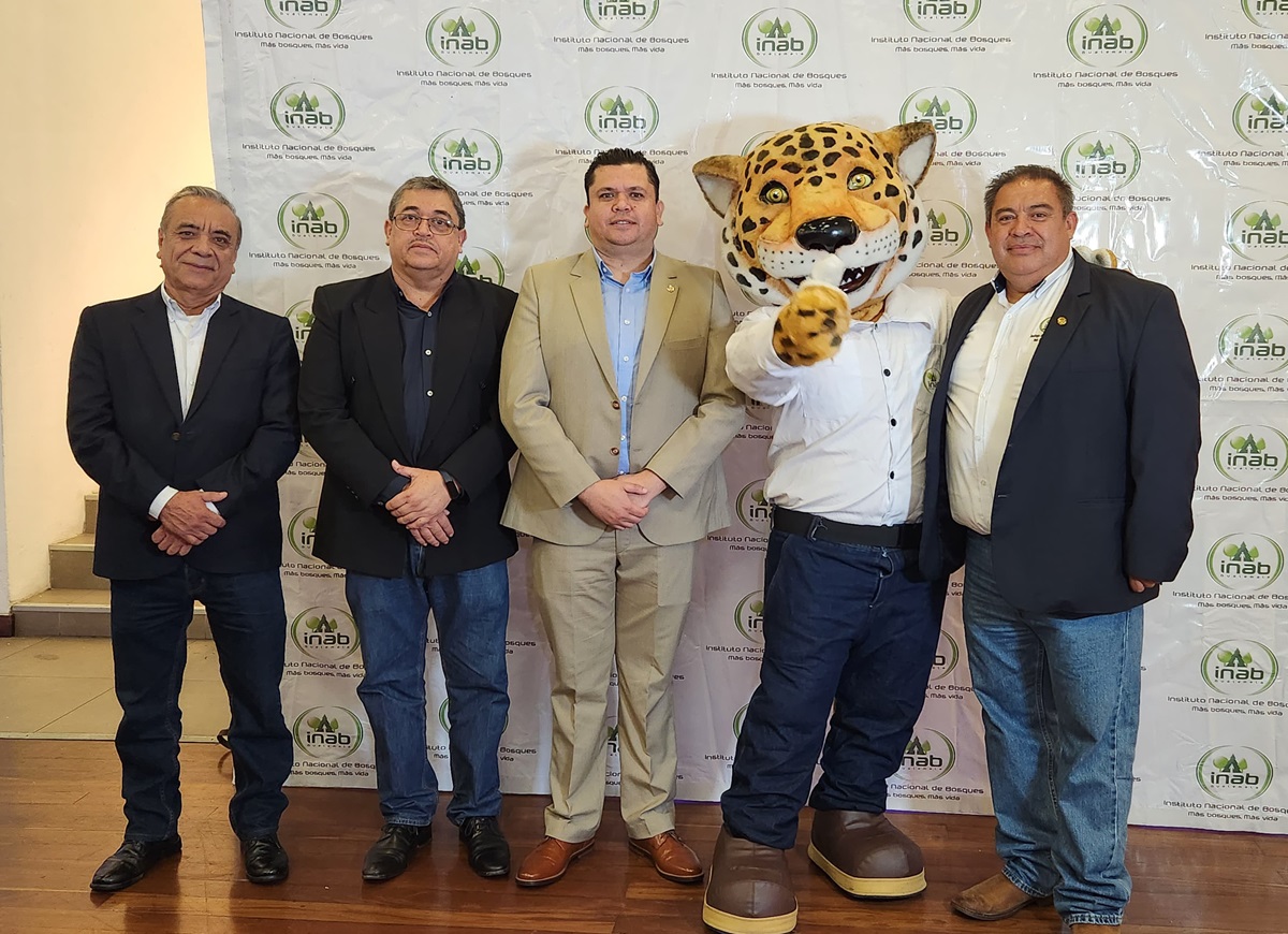 En un 93% aumenta el número de voluntarios amigos del bosque del ...