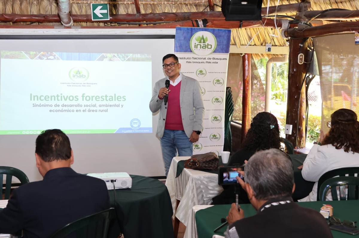 El INAB genera 22 mil 257 empleos en el área rural, a través del ...